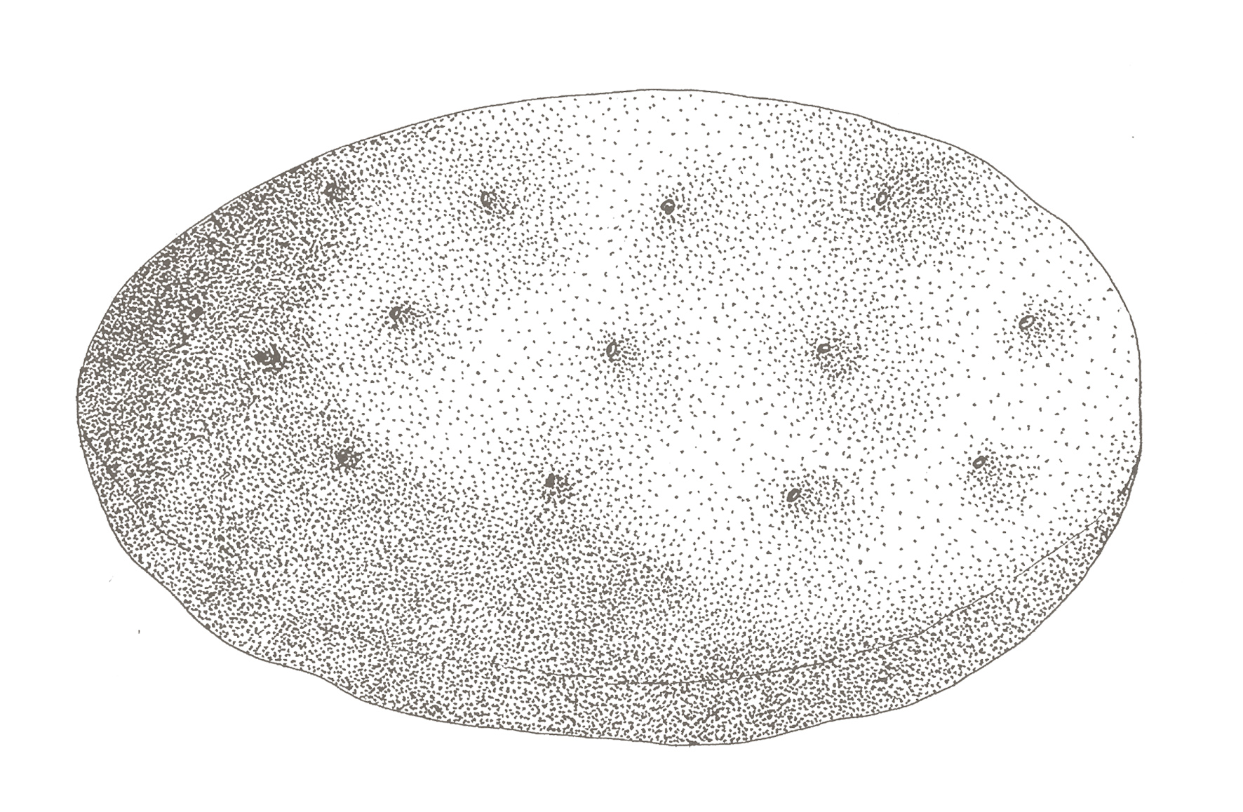 Ojo en Tinta | Sobre el oficio de panadero en Chile